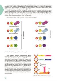 Fen Lisesi Biyoloji 9 - Yaşam Bilimi Biyoloji