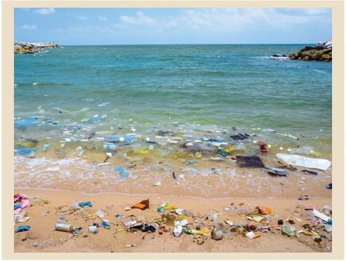 School Life - UNIT 11C/7