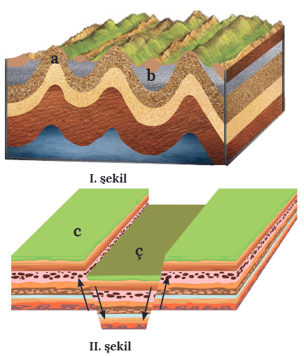 10. Sınıf - Doğal Sistemler