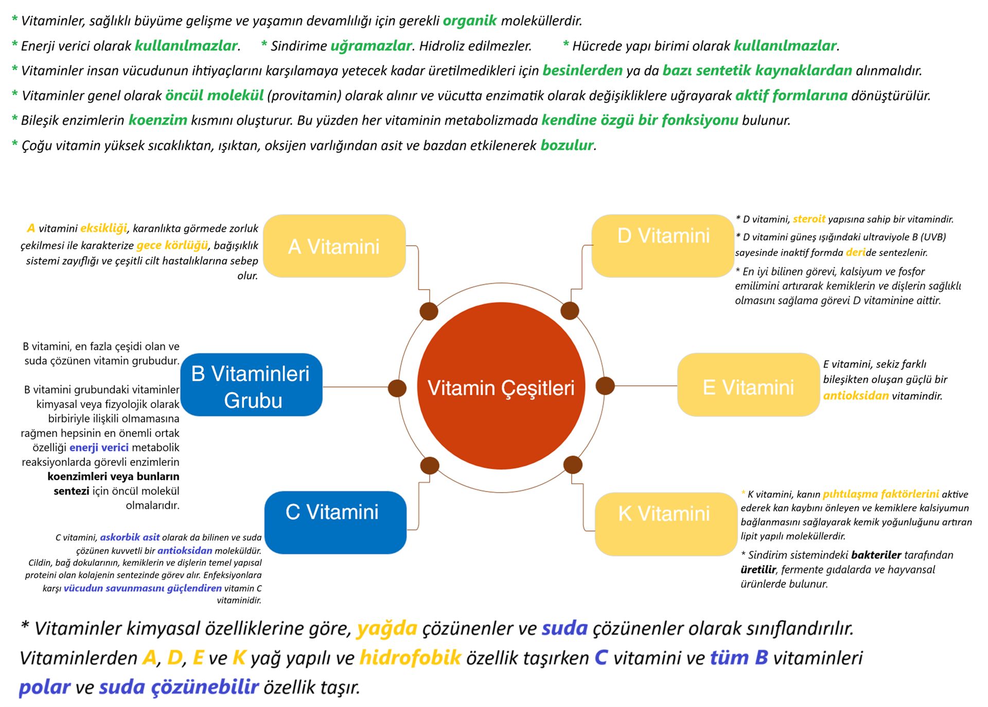 Organizasyon - Vitaminler