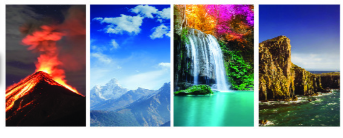 Life In The Nature - 7C / 1c