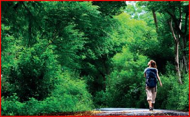 Le Sport - La marche dans la nature