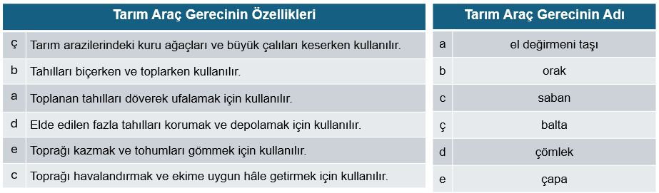 Eski Çağ Medeniyetleri - Tarım Devrimi'nin Eski Çağ'a Etkileri