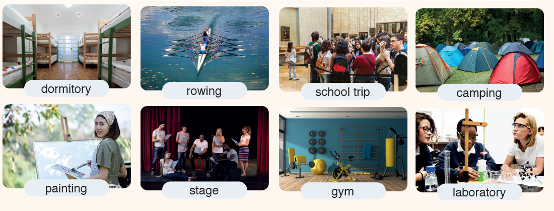 School Life - School Life Workbook p11.2