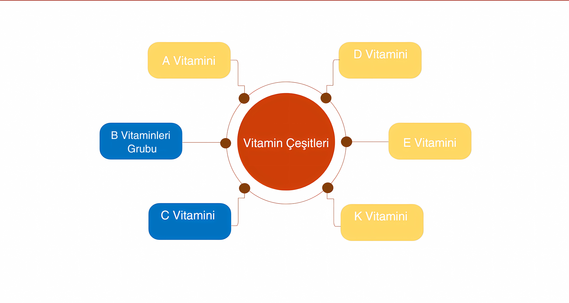 Organizasyon - Vitaminler