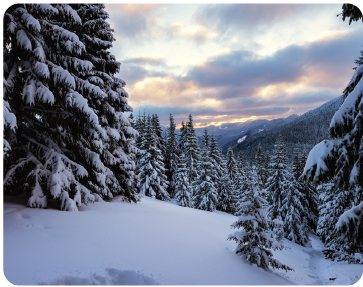 Legendary Figure - Legendary Figures p35.2