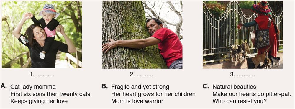 Look at the photos below and match them with the right Haiku poem.