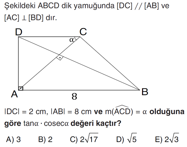 OGM Materyal