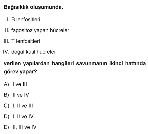 11. Sınıf Biyoloji Soru Testi